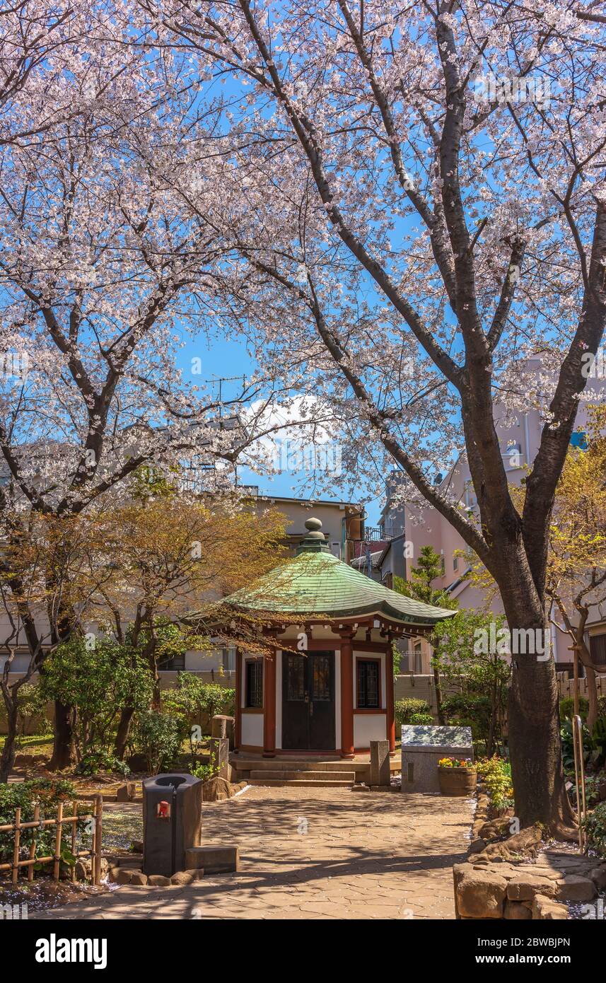 tokyo, japan - march 31 2020: Hexagonal pavillion dedicated to the ...