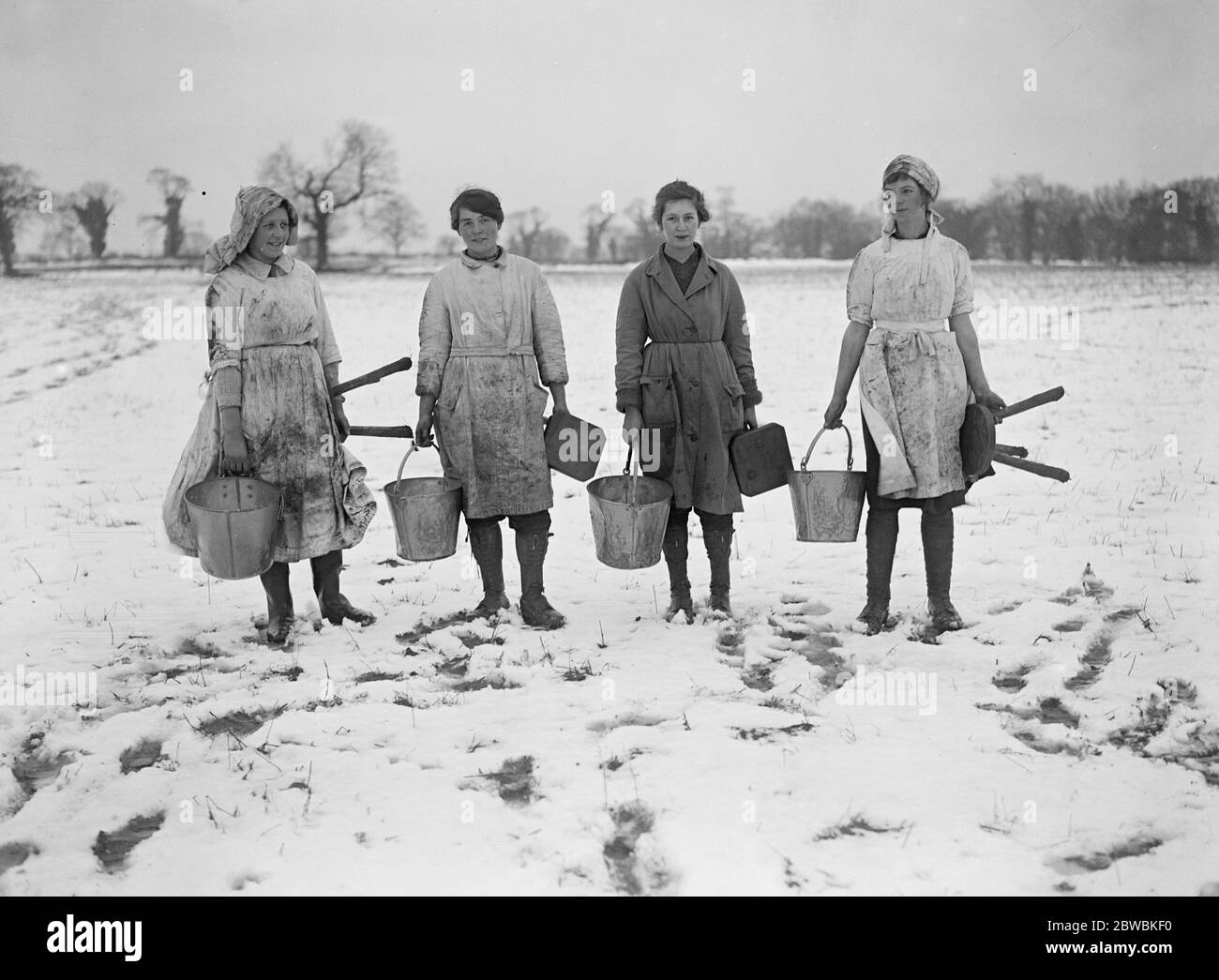 Land girl ww1 horse hi-res stock photography and images - Alamy