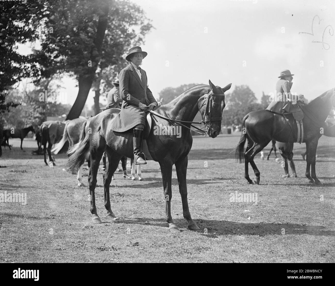 Show at ranelagh hi-res stock photography and images - Alamy