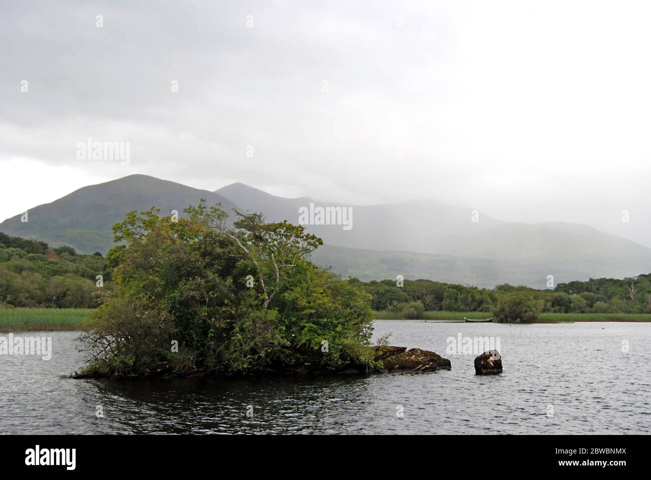 Small Island with trees on Lake, Ireland Stock Photo - Alamy