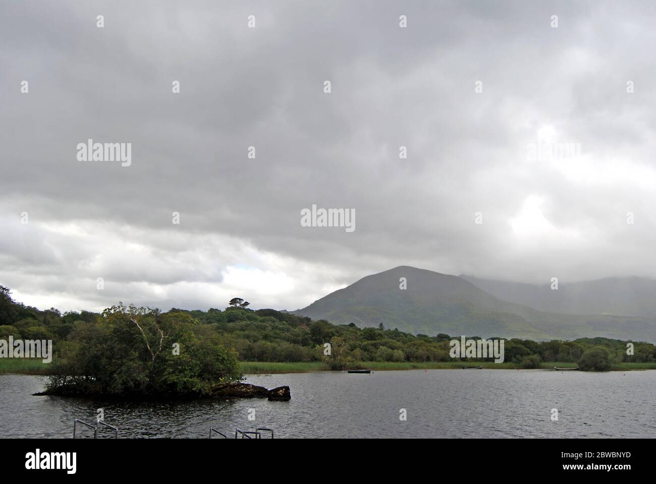 Small Island with trees on Lake, Ireland Stock Photo - Alamy