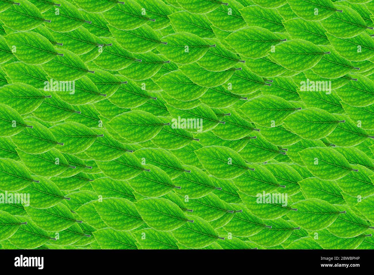 Top view autumn leaves background Stock Photo - Alamy