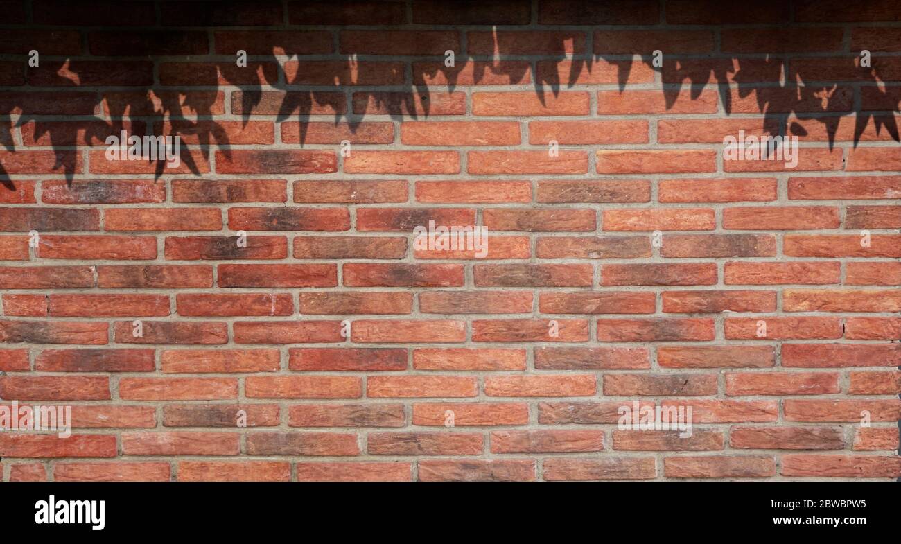 Regular Red Wall Texture for Background Stock Photo - Alamy