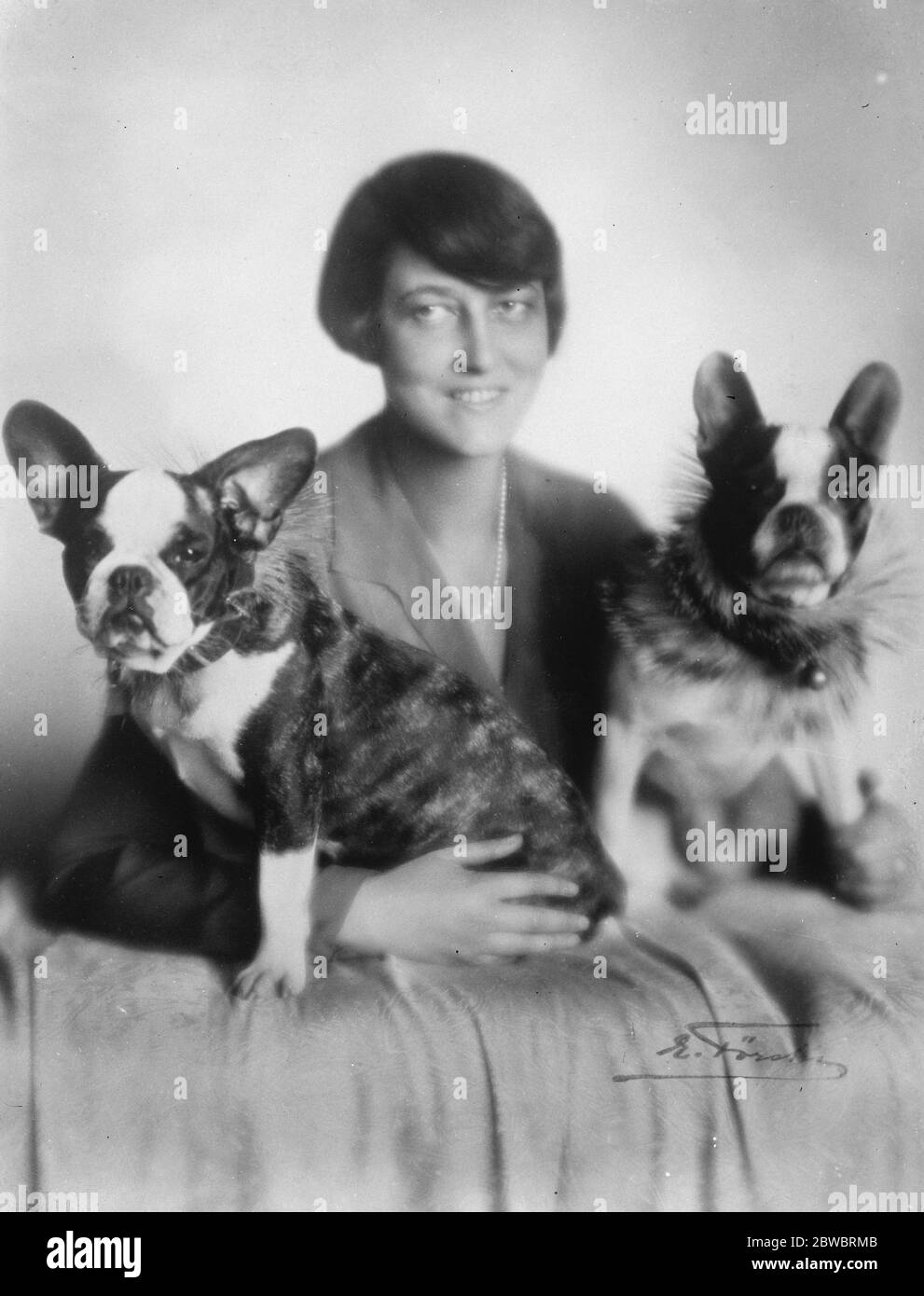 Ascot winnings invested in dog flesh . Mrs Peters , wife of the well ...