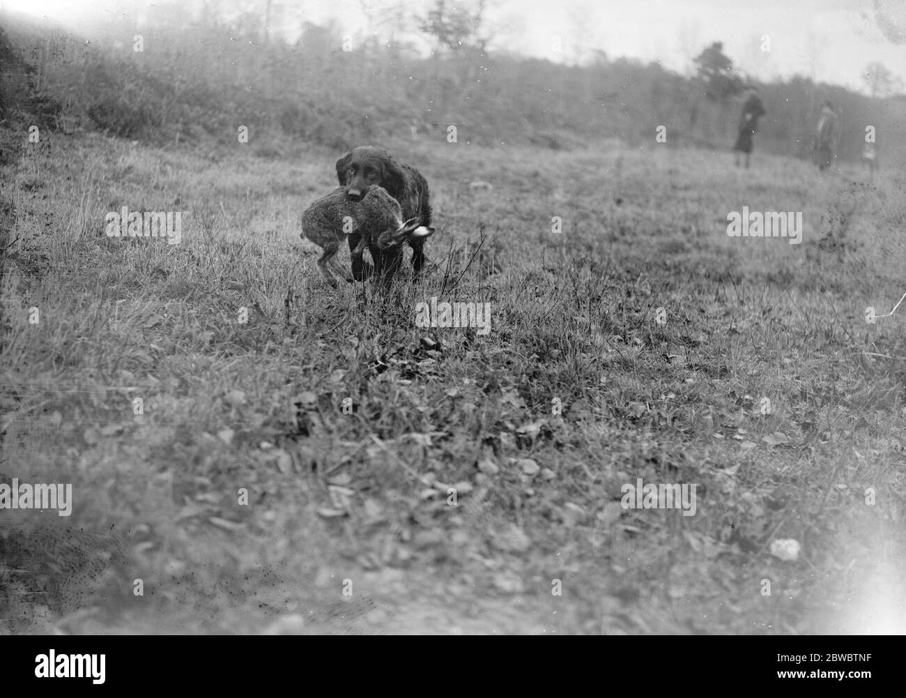 Sir Alfred and Lady Mond Entertain shooting party at Melchet court ...