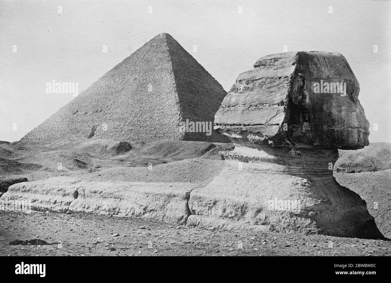 Back of sphinx egypt hi-res stock photography and images - Alamy