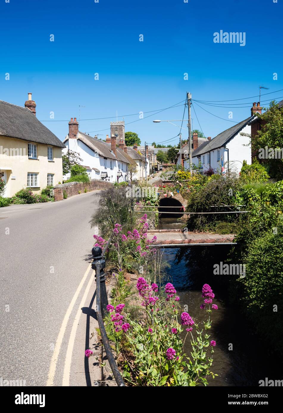 Britain in Bloom Competition Display Stock Photo - Alamy