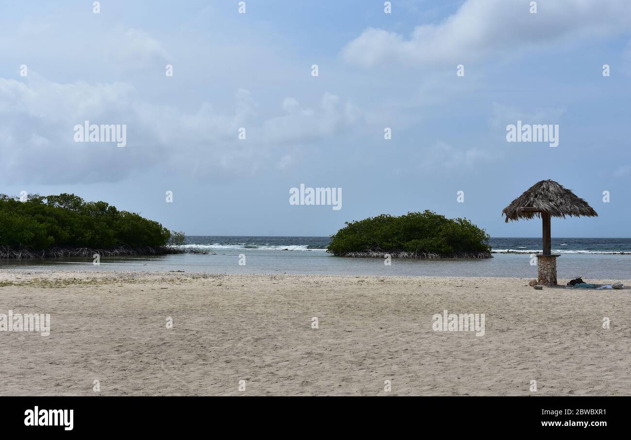 Mango halto hi-res stock photography and images - Alamy