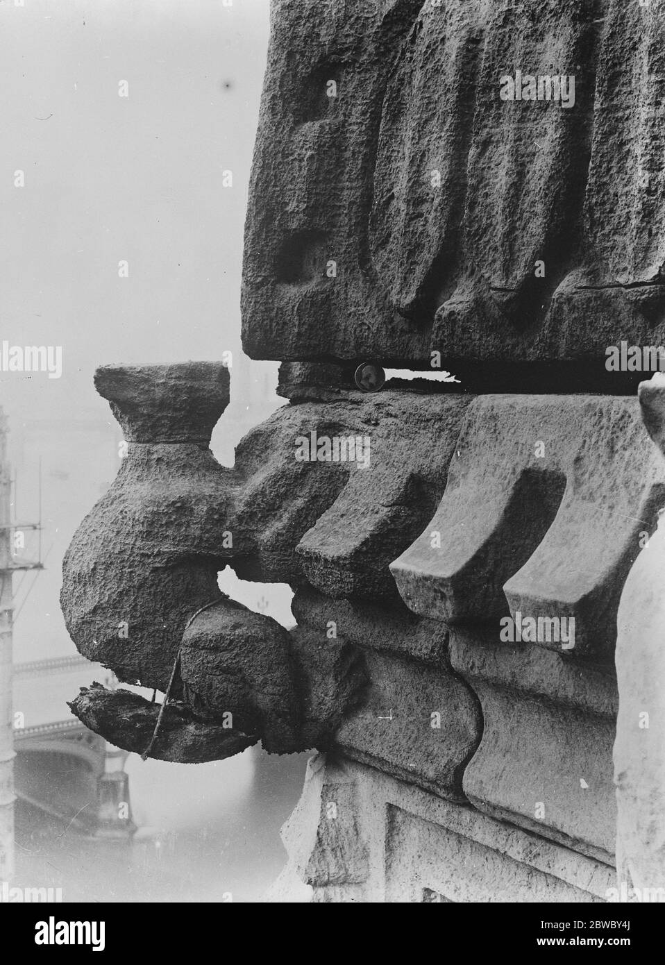 Decay and the preservation of the stonework of the Houses of Parliament ...