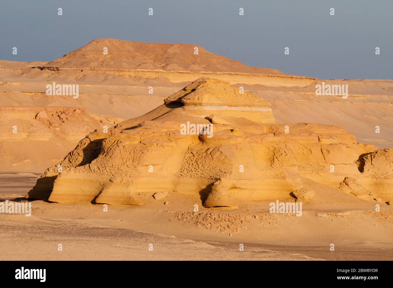 Desert landforms formed by wind erosion at Wadi El Hitan, Valley of the ...