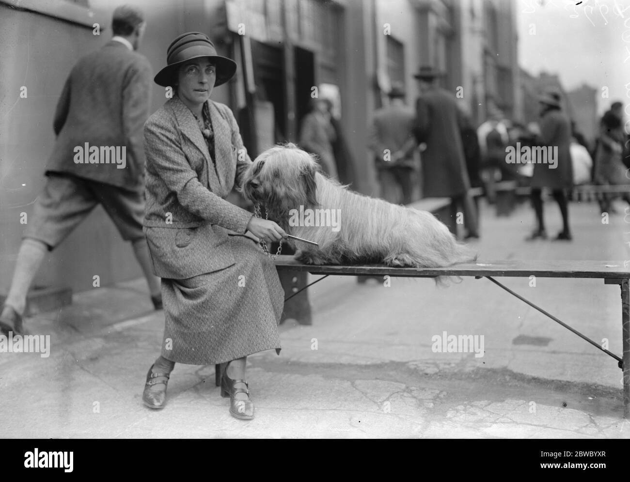Dog show at Holland Park . Lady Marcia Miles with her Skye Terrier . 16 ...