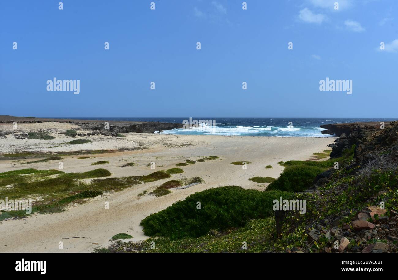 Scenic views of Coastal Daimari Beach in Aruba Stock Photo - Alamy