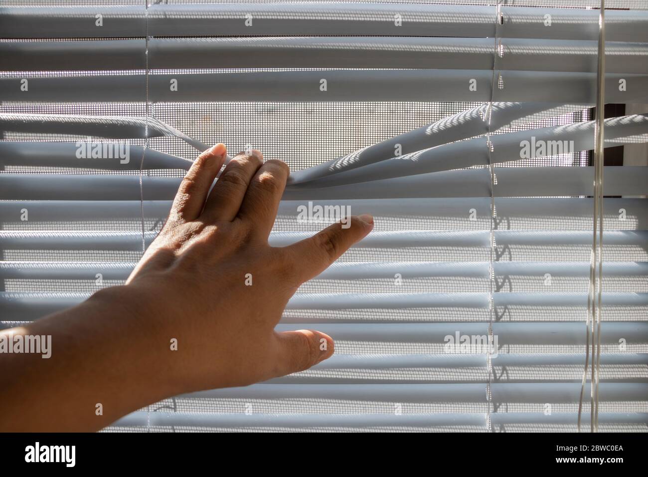 The fingers stretched the window blinds looking outside Stock Photo - Alamy