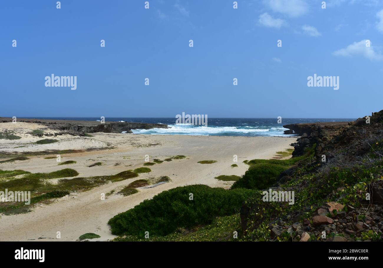 Beautiful Daimari Beach on scenic coastal Aruba Stock Photo - Alamy