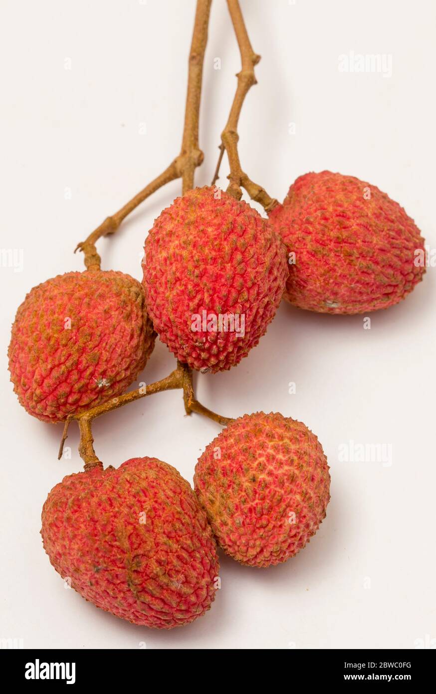 Close-up view of ripe lychee on white background Stock Photo - Alamy