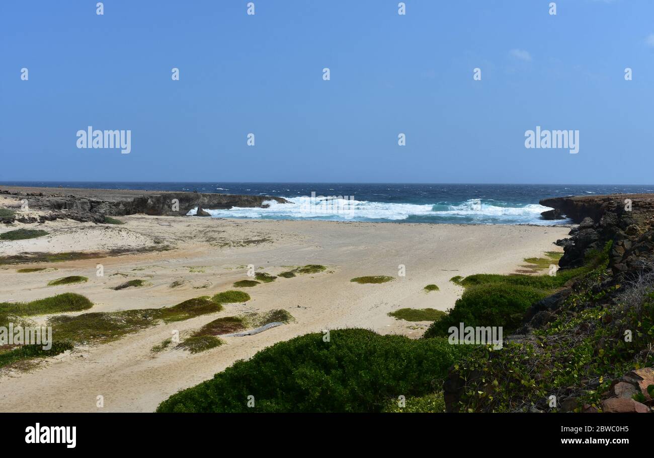 Daimari beach aruba hi-res stock photography and images - Alamy