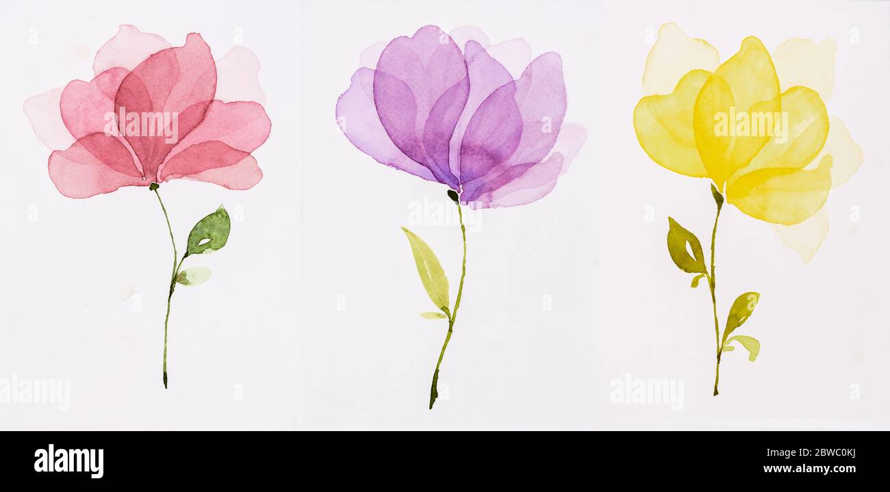 Picture water colour, Set of three flowers of hand painted watercolors ...