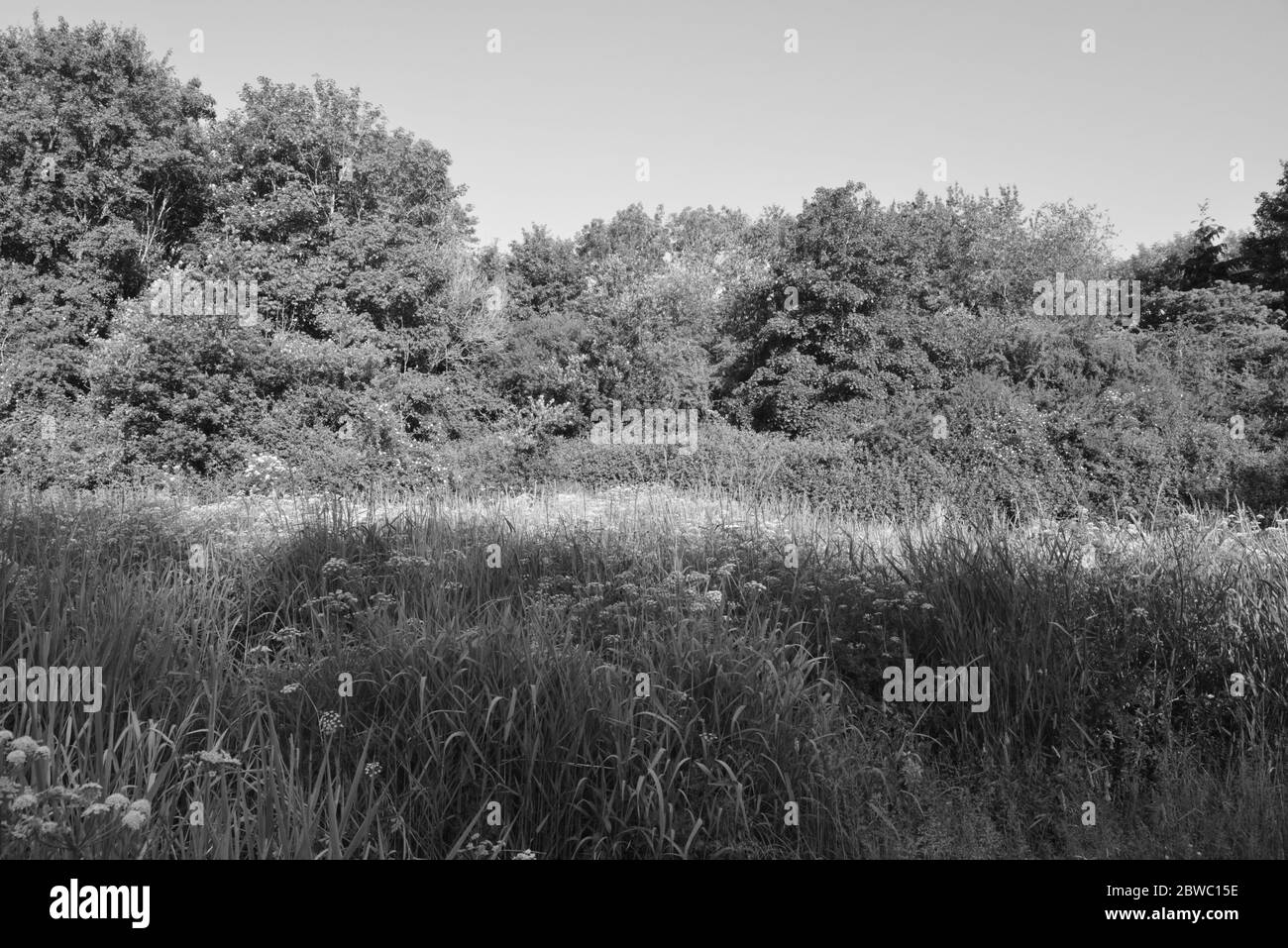 The English countryside in Springtime Stock Photo - Alamy