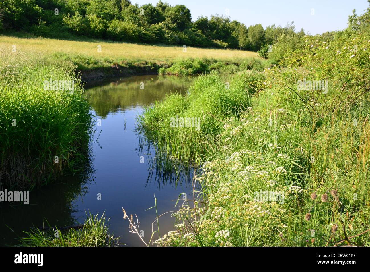 The River Mole in May in Horley in Surrey Stock Photo - Alamy