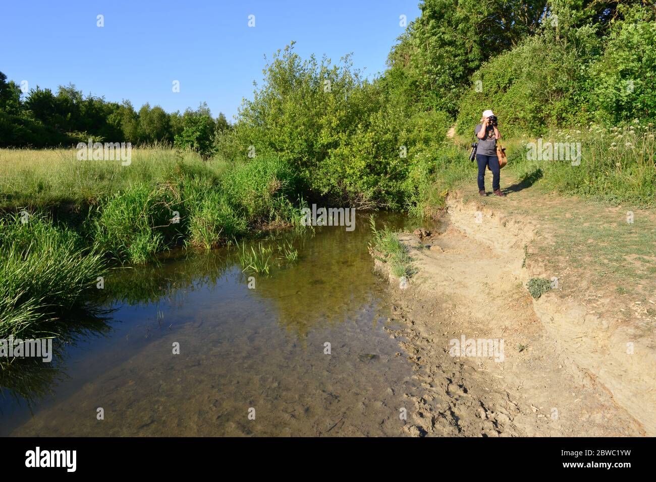 The River Mole in May in Horley in Surrey Stock Photo - Alamy