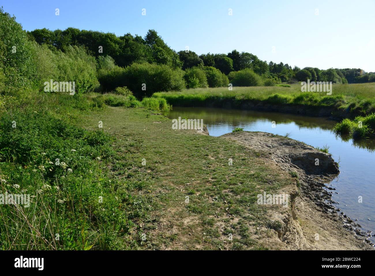 Mole uk spring hi-res stock photography and images - Alamy