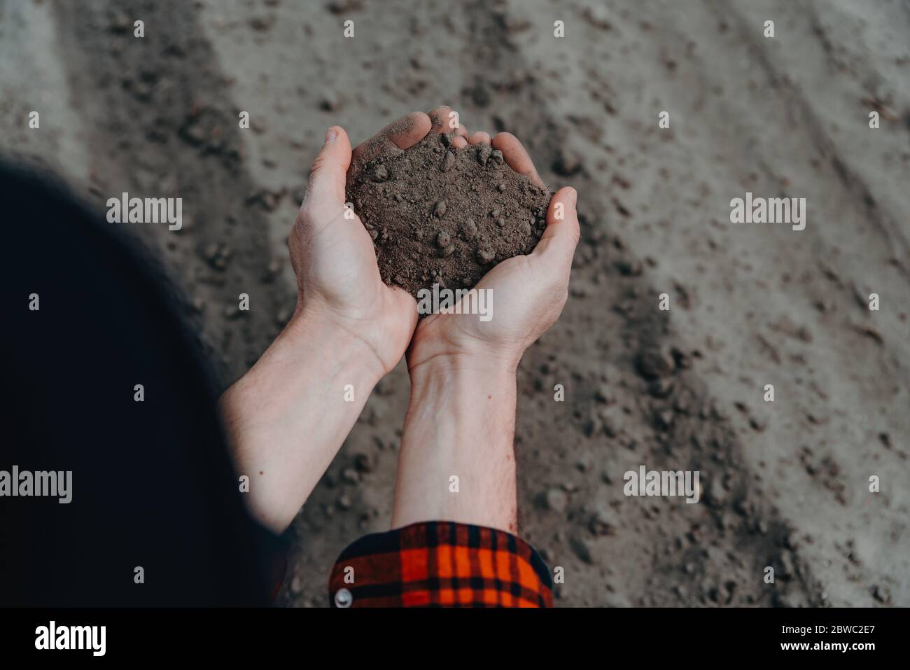 Cropped view of farmer hands holding sand, pouring dry sandy soil on ...