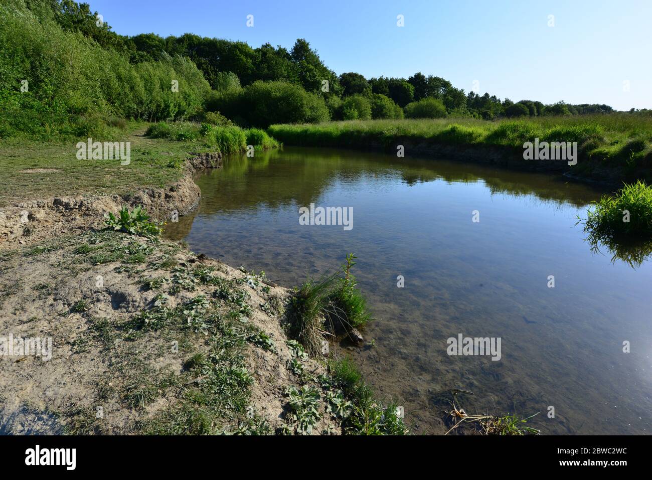 The River Mole in May in Horley in Surrey Stock Photo - Alamy
