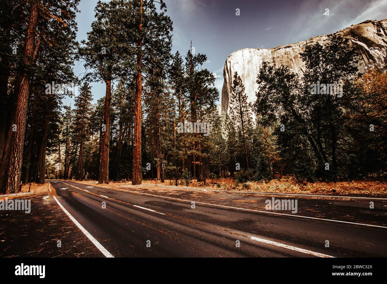 World famous rock climbing wall of El Capitan, Yosemite national park ...