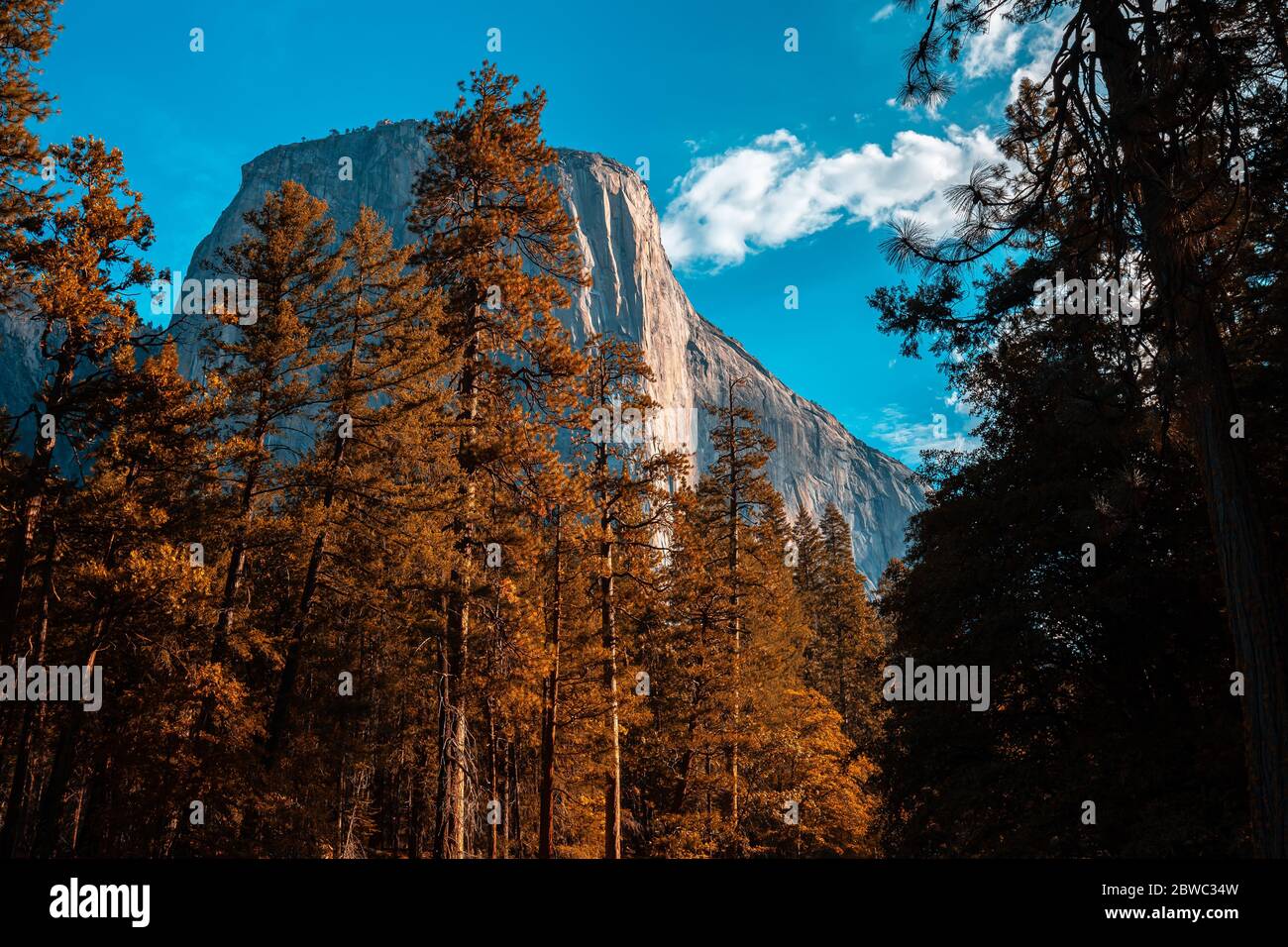 World famous rock climbing wall of El Capitan, Yosemite national park ...