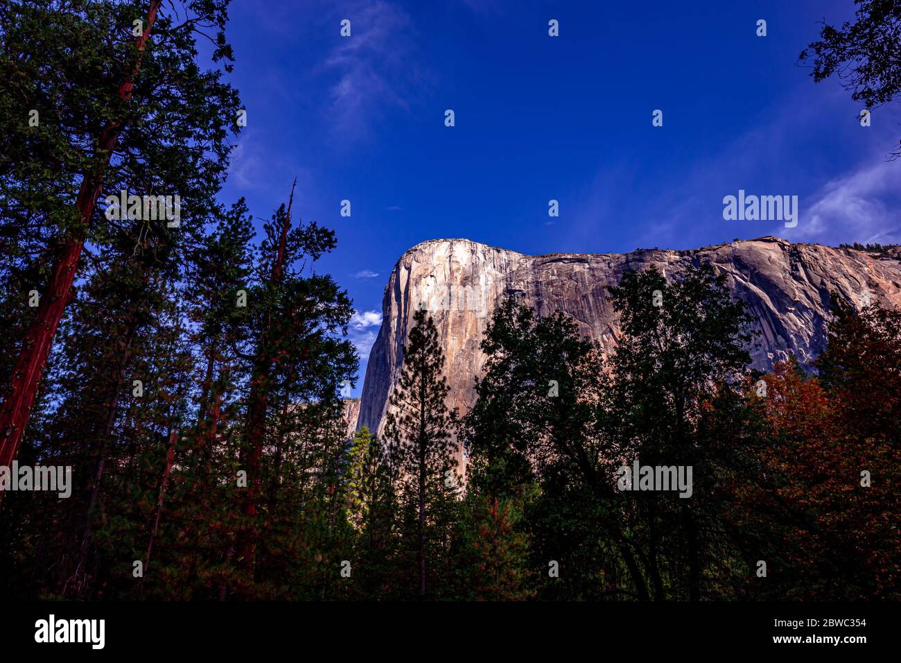World famous rock climbing wall of El Capitan, Yosemite national park ...