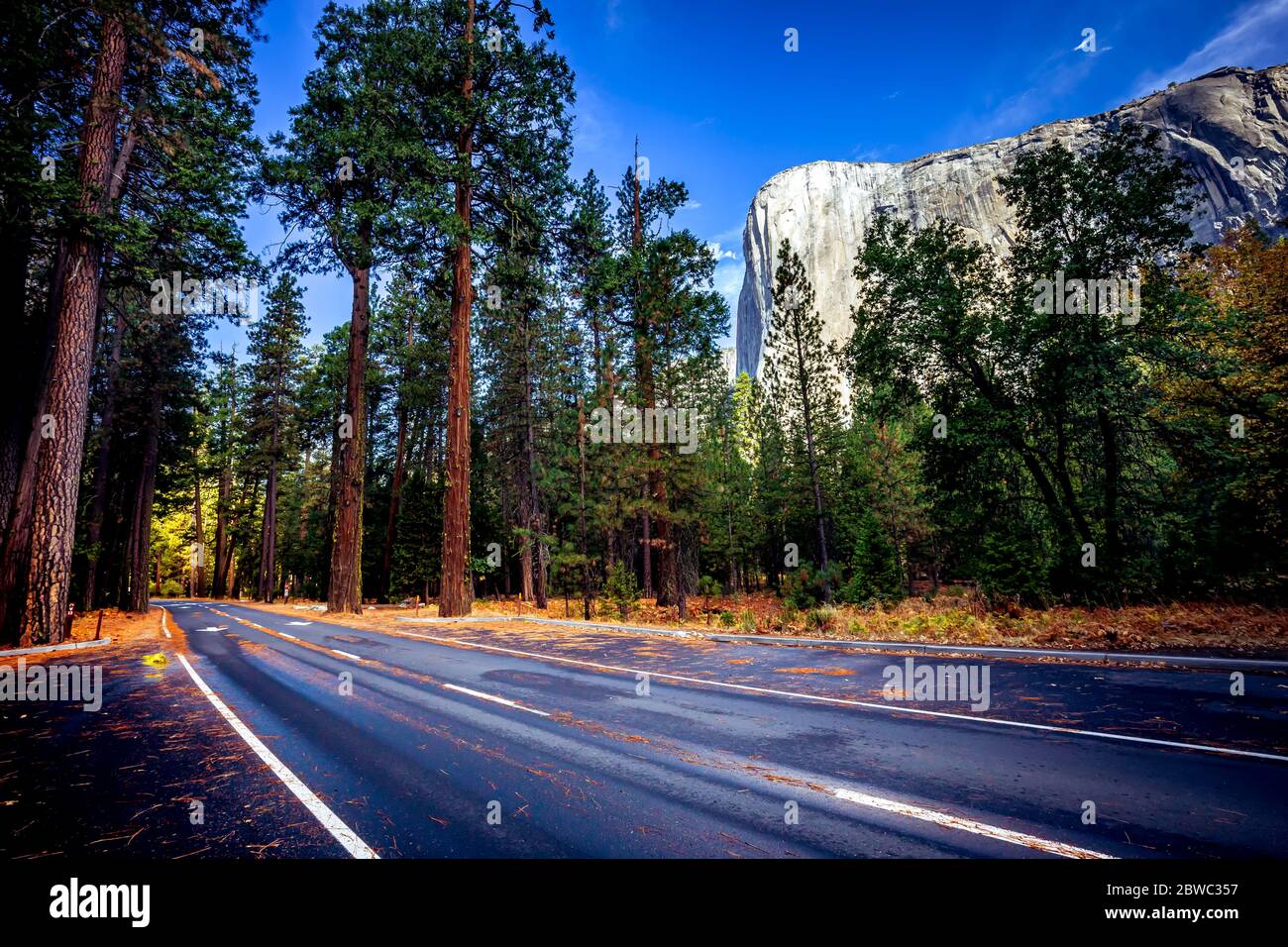 World famous rock climbing wall of El Capitan, Yosemite national park ...