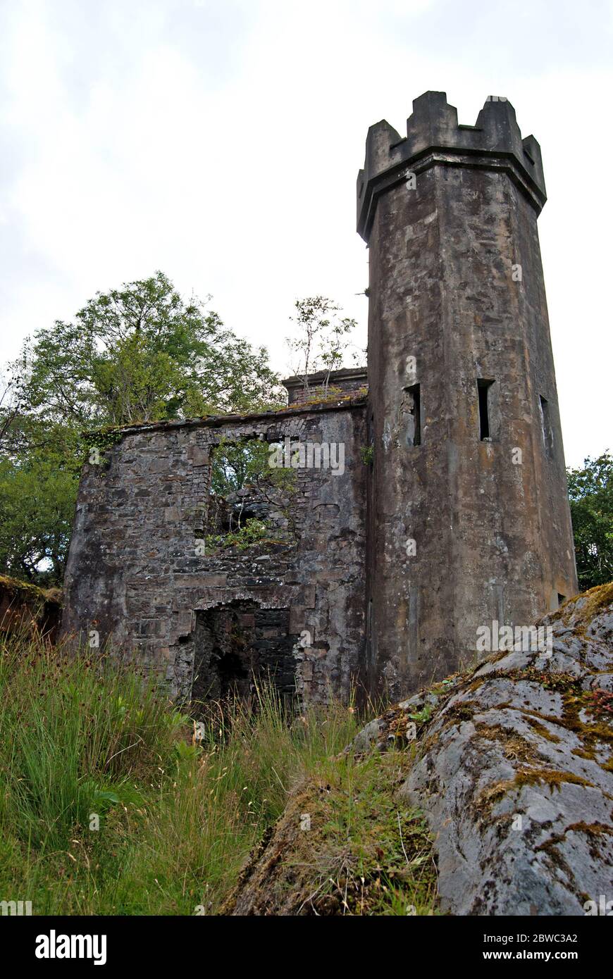 An old and overgrown remains of a castle, Ireland Stock Photo - Alamy
