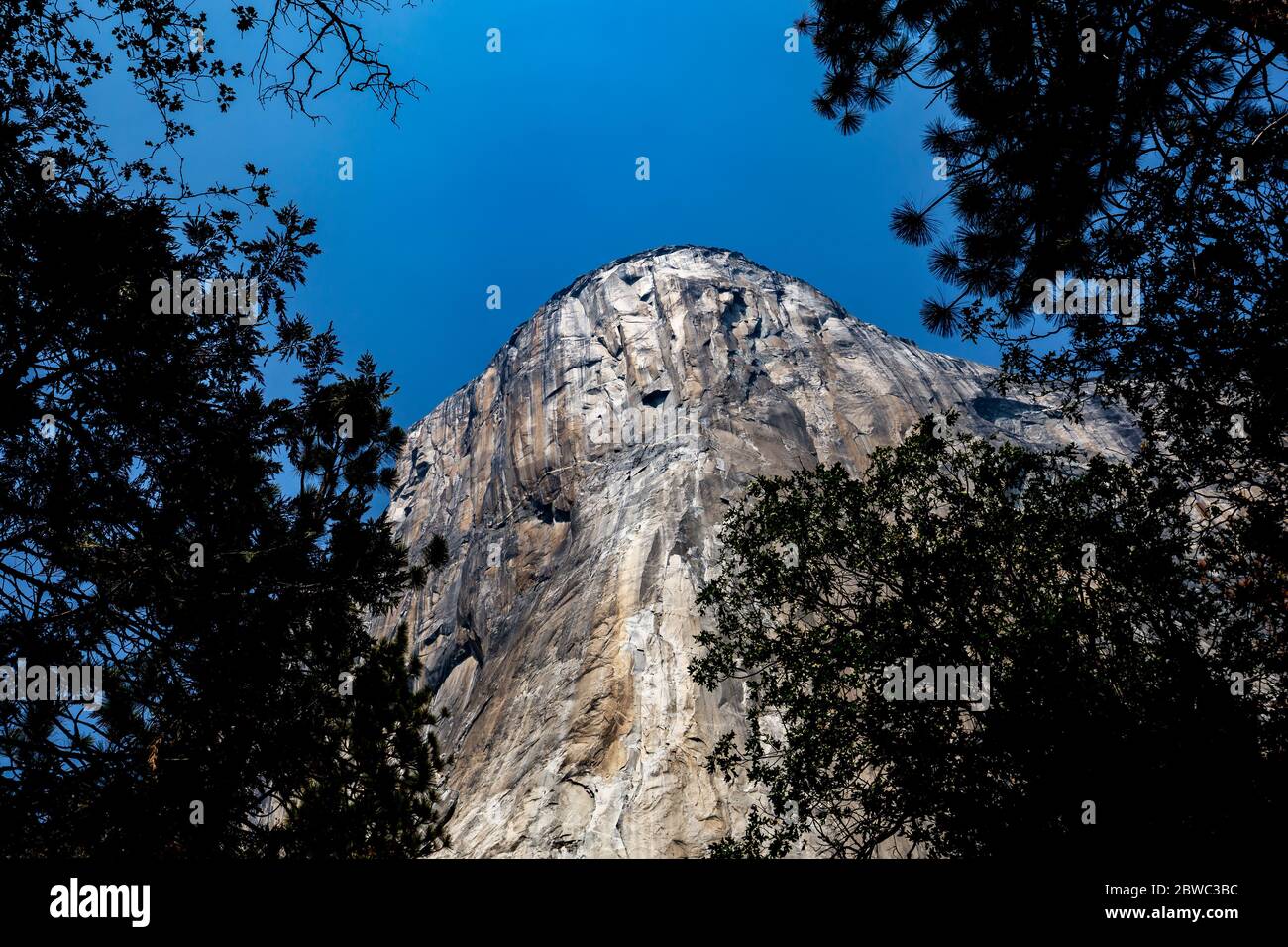World famous rock climbing wall of El Capitan, Yosemite national park ...