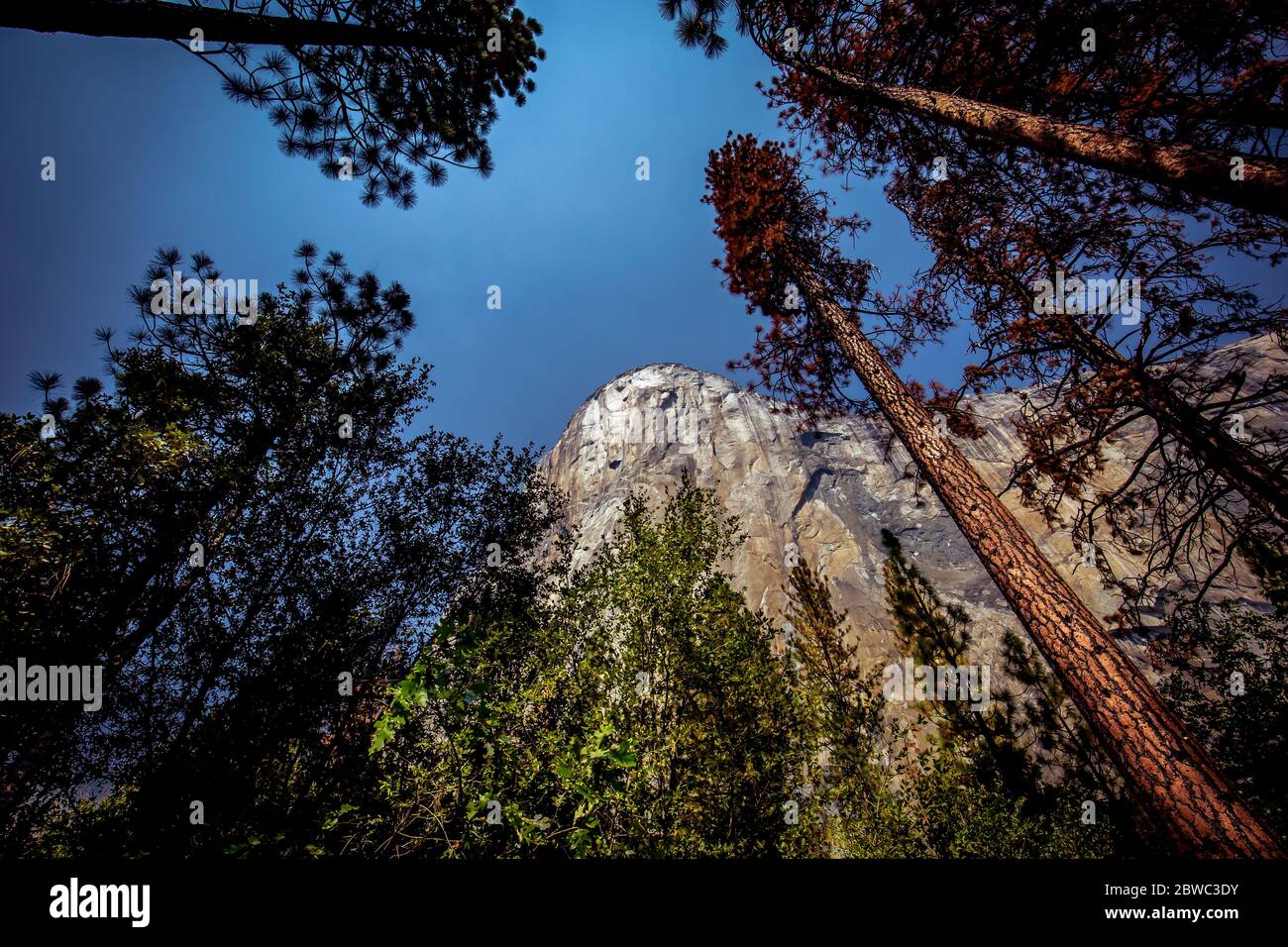 World famous rock climbing wall of El Capitan, Yosemite national park ...