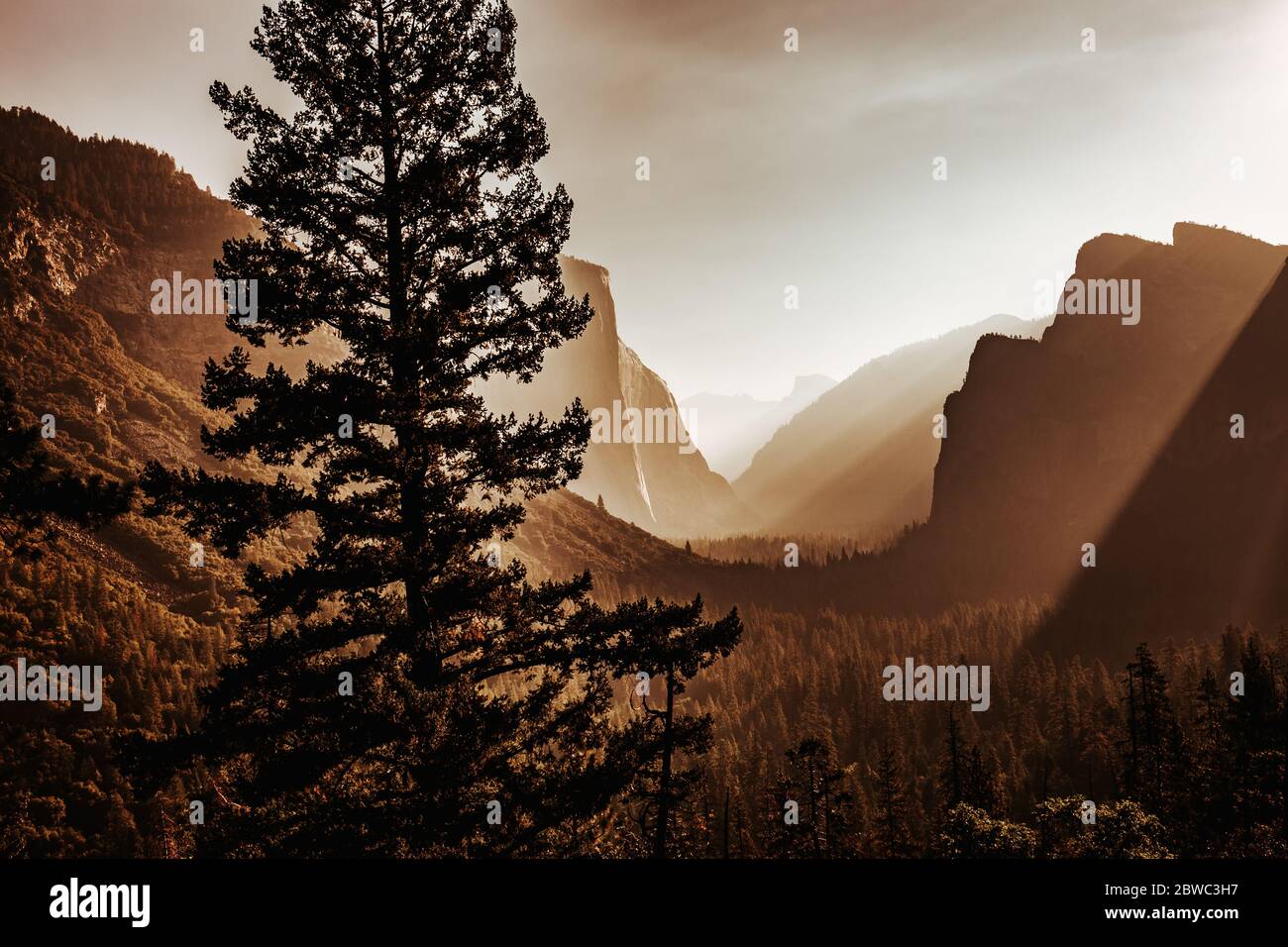 World famous rock climbing wall of El Capitan, Yosemite national park ...