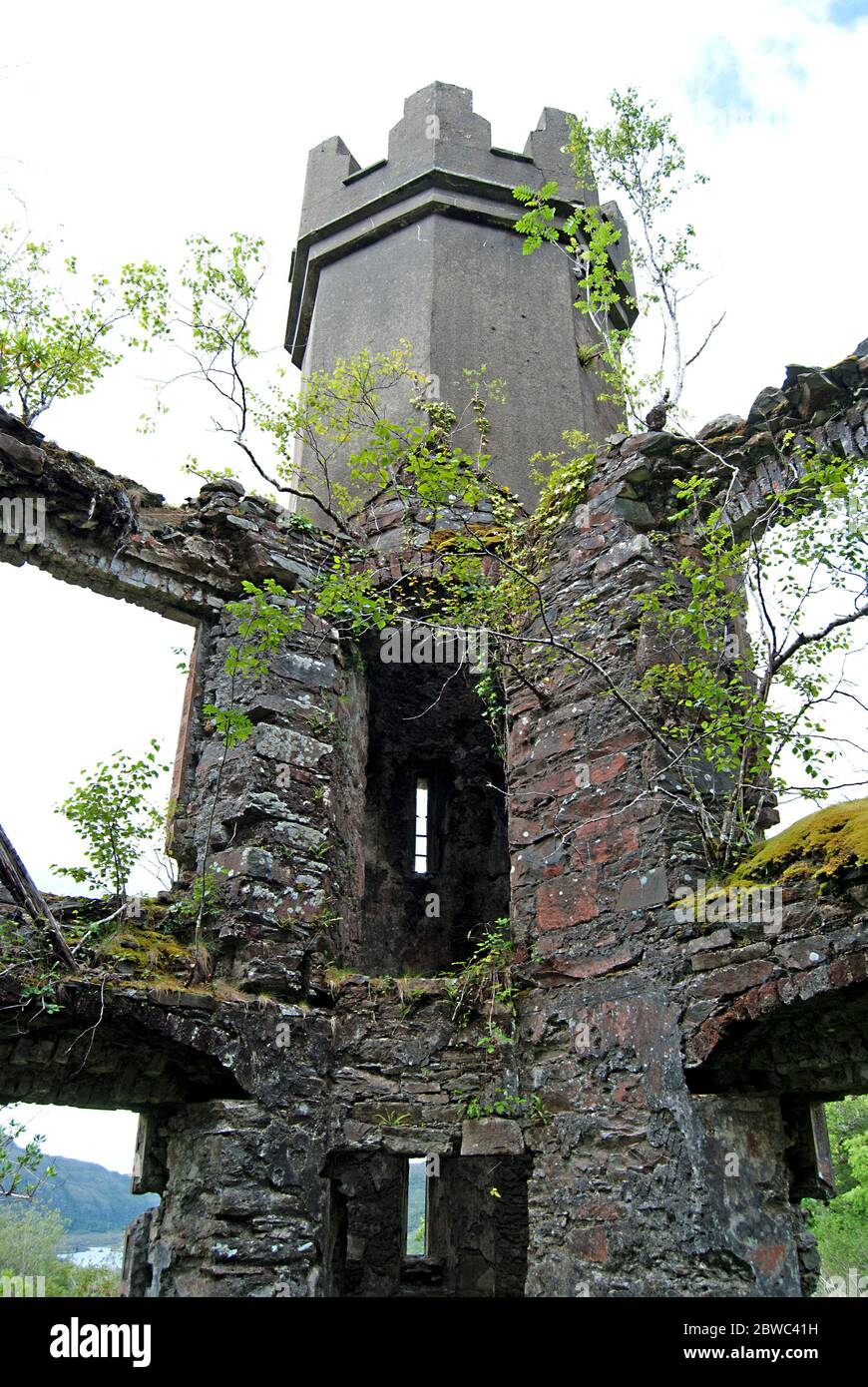 An old and overgrown remains of a castle, Ireland Stock Photo - Alamy