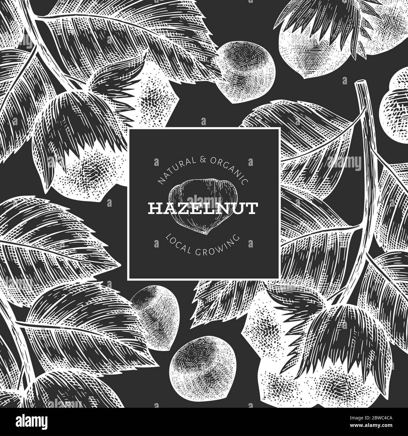 Hand drawn sketch hazelnut design template. Organic food vector ...