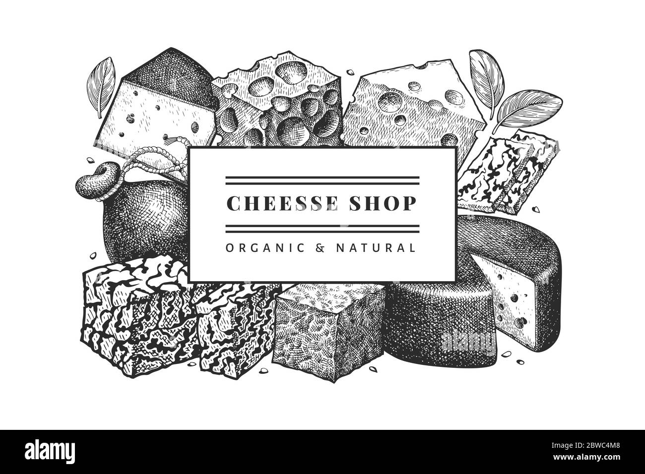 Cheese design template. Hand drawn vector dairy illustration. Engraved ...