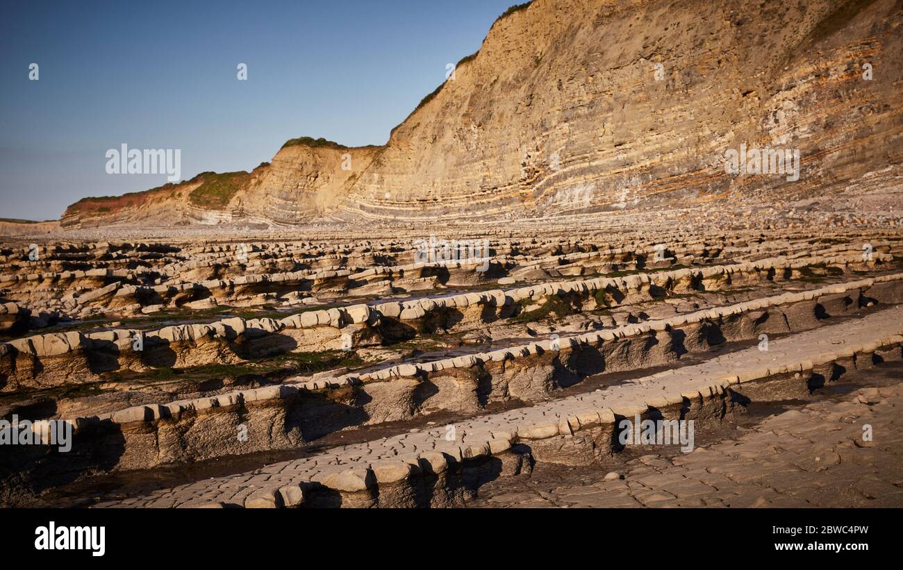 Kilve fossils hi-res stock photography and images - Alamy