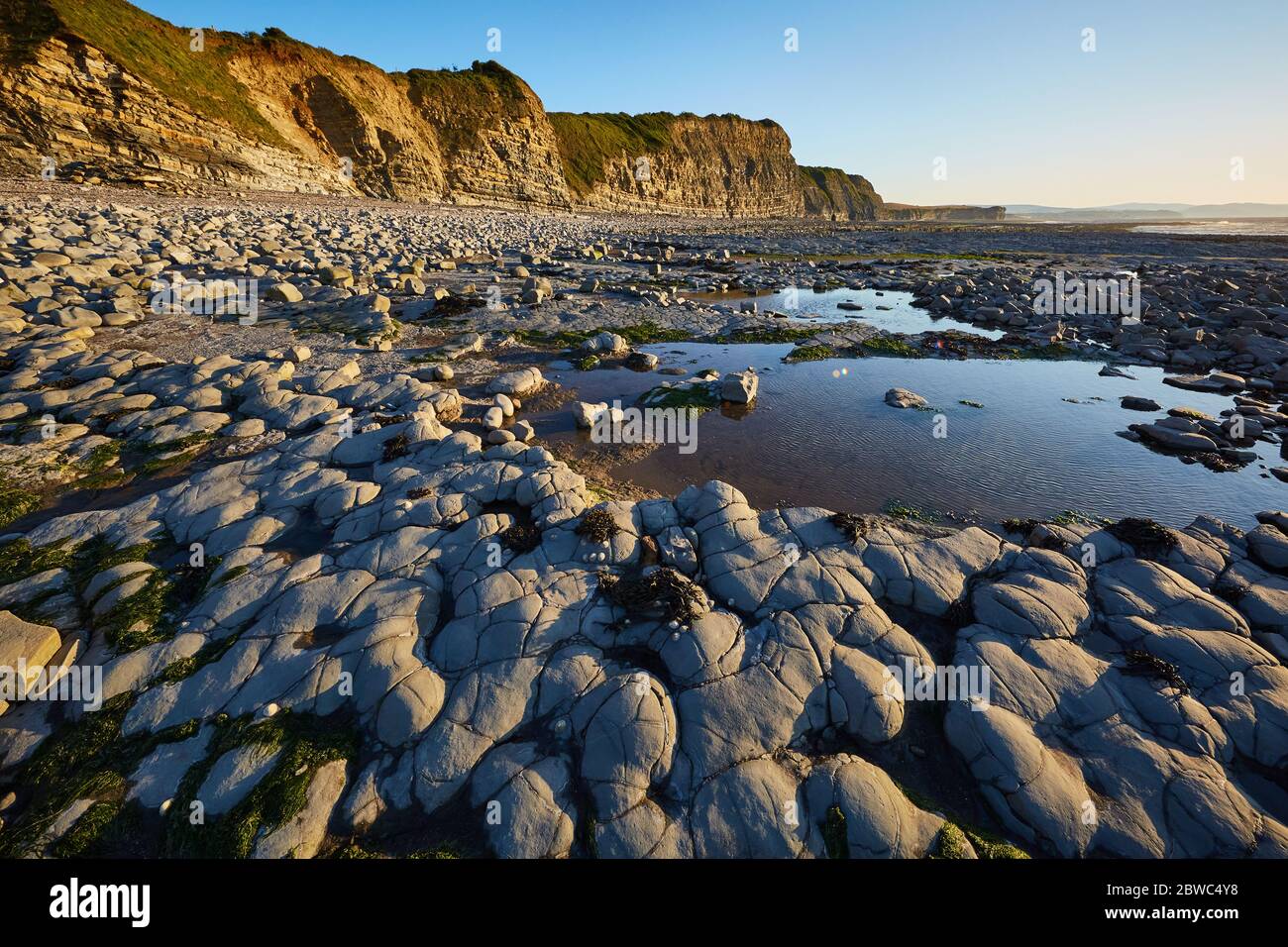 Kilve fossils hi-res stock photography and images - Alamy