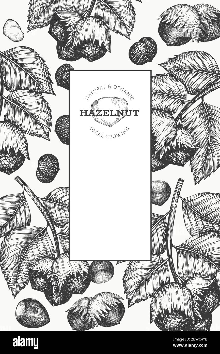 Hand drawn sketch hazelnut design template. Organic food vector ...