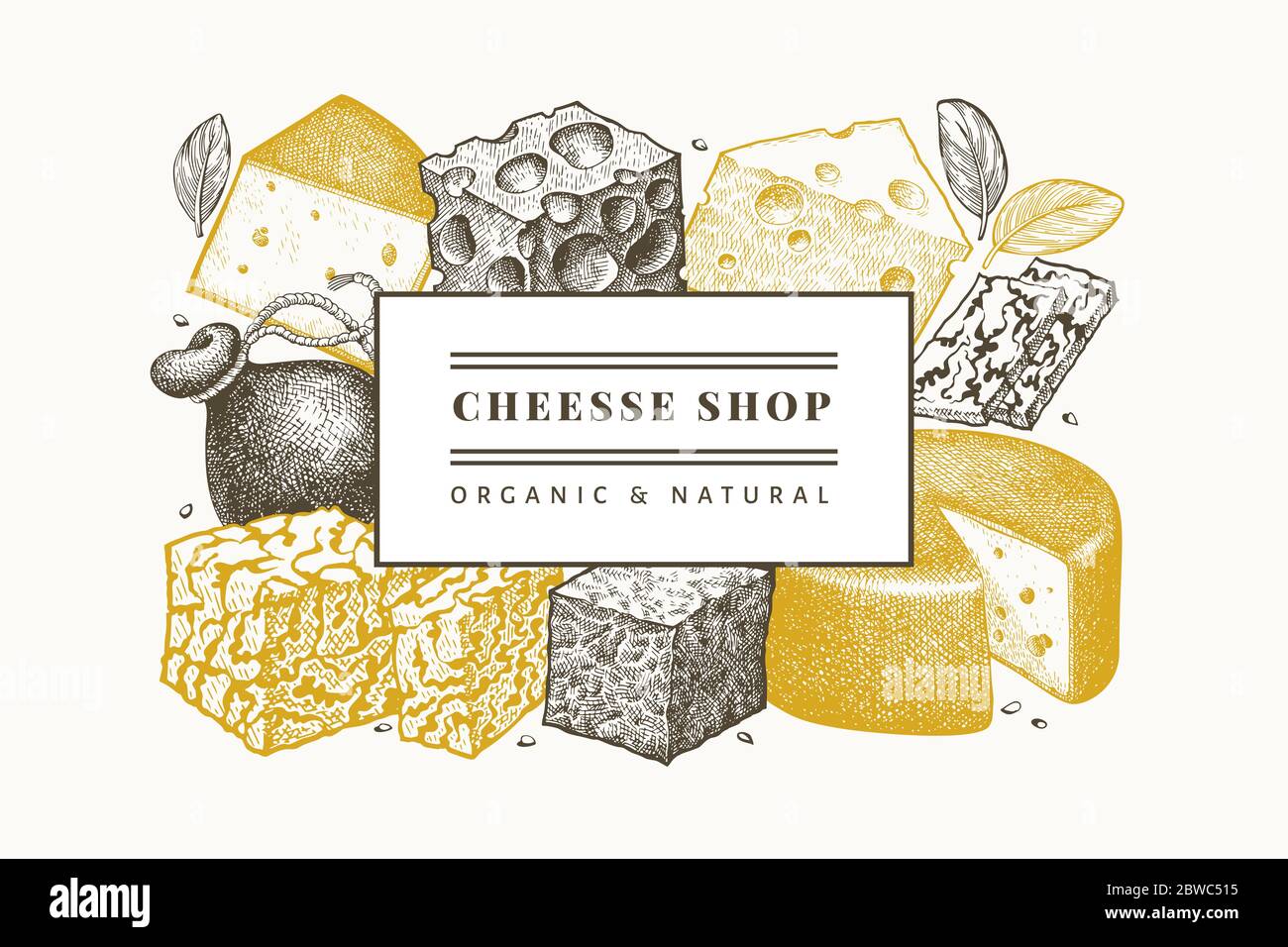 Cheese design template. Hand drawn vector dairy illustration. Engraved ...