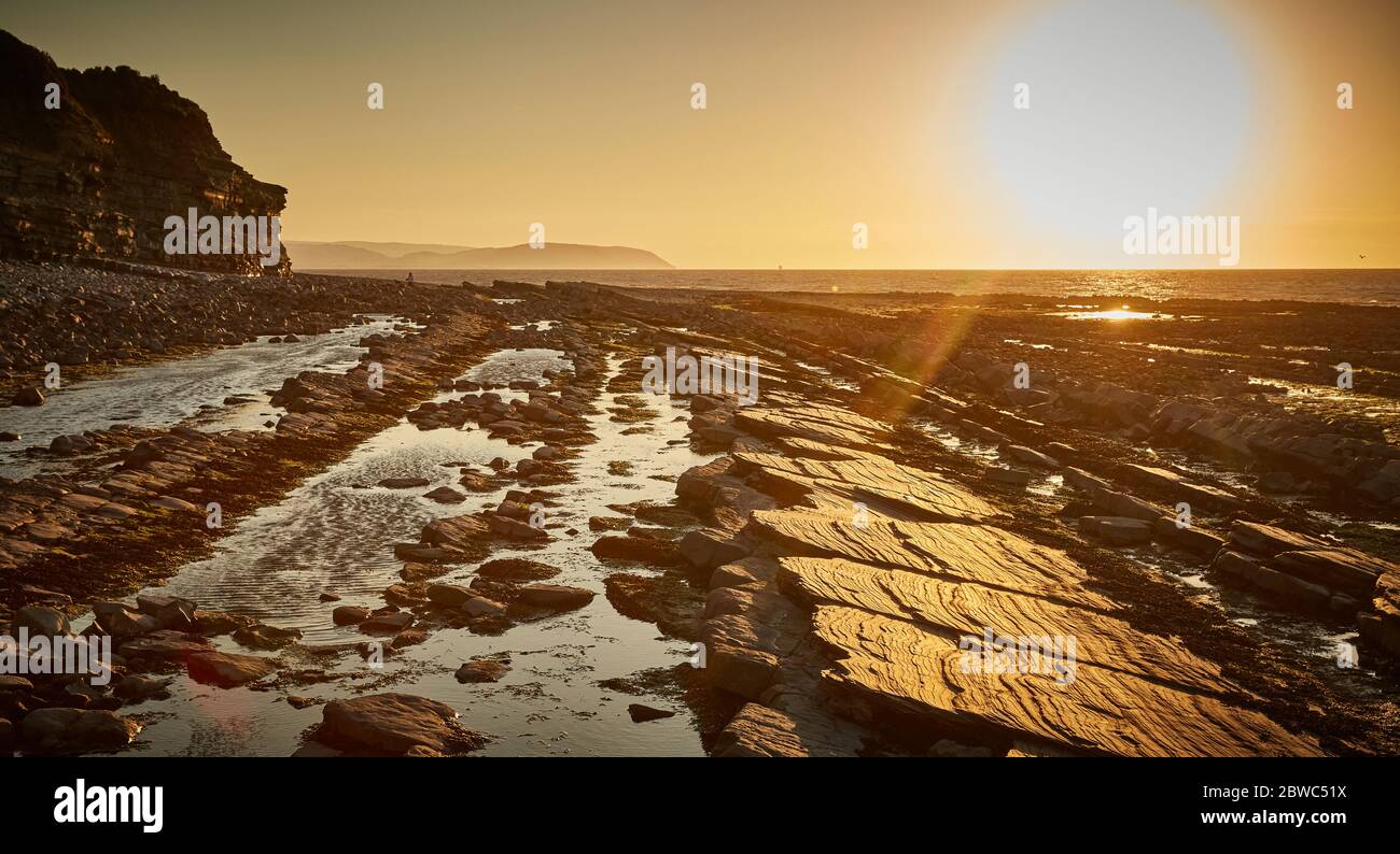 Kilve fossils hi-res stock photography and images - Alamy