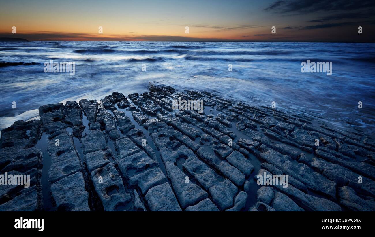 Kilve fossils hi-res stock photography and images - Alamy