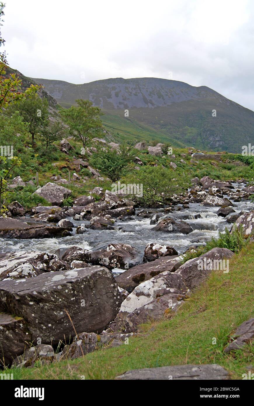 Stream in the near of the Old Weir Bridge in the Killarney National ...