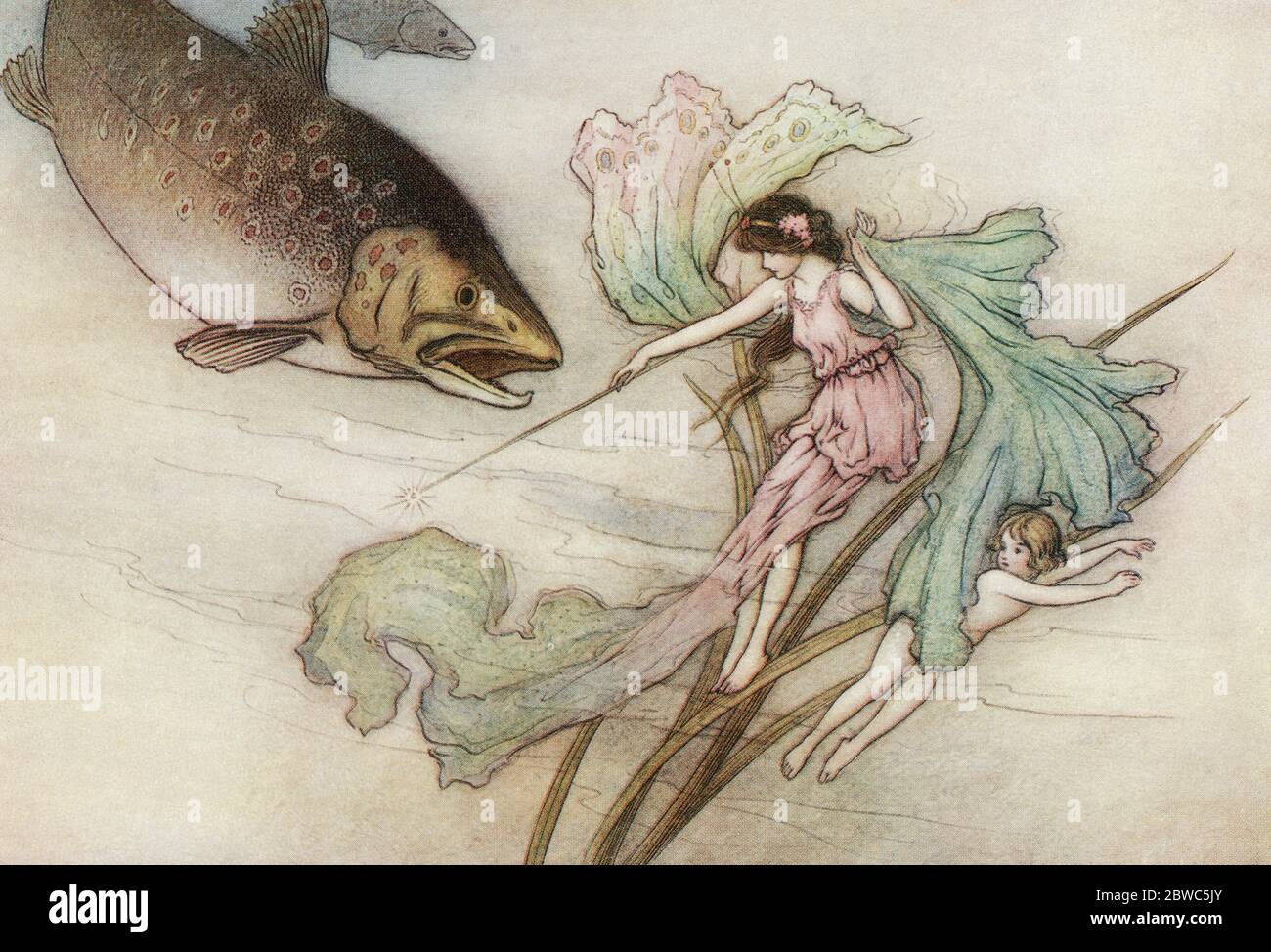 "From which great trout rushed out on Tom". Illustration by Warwick ...