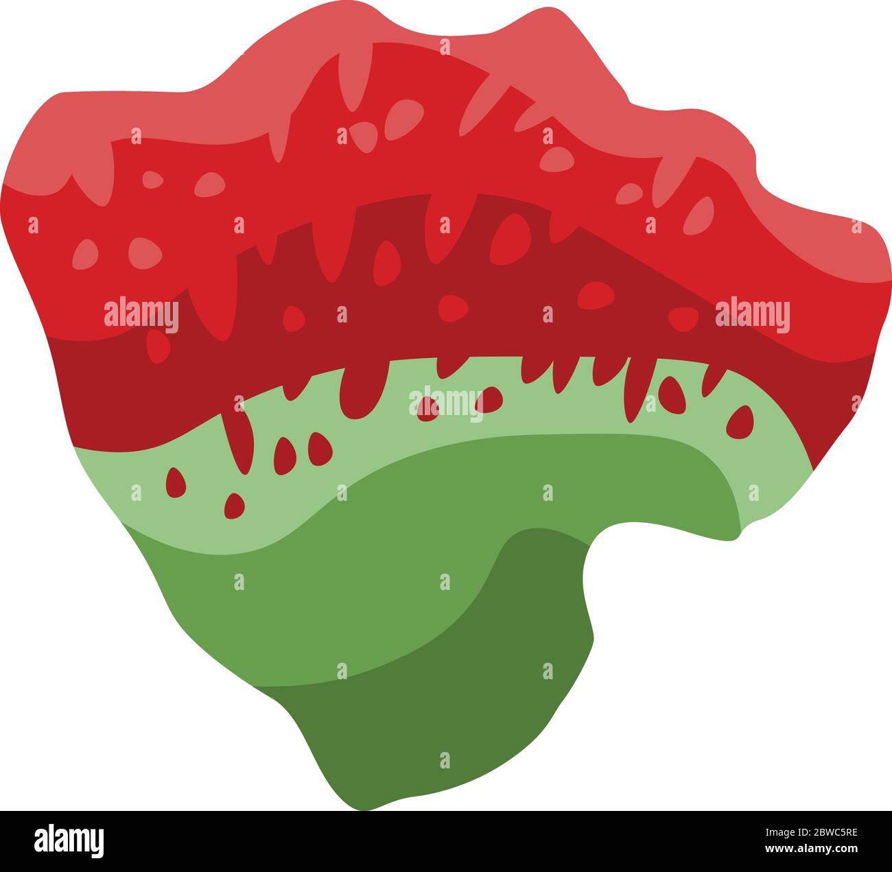 Beach red algae Stock Vector Images - Alamy