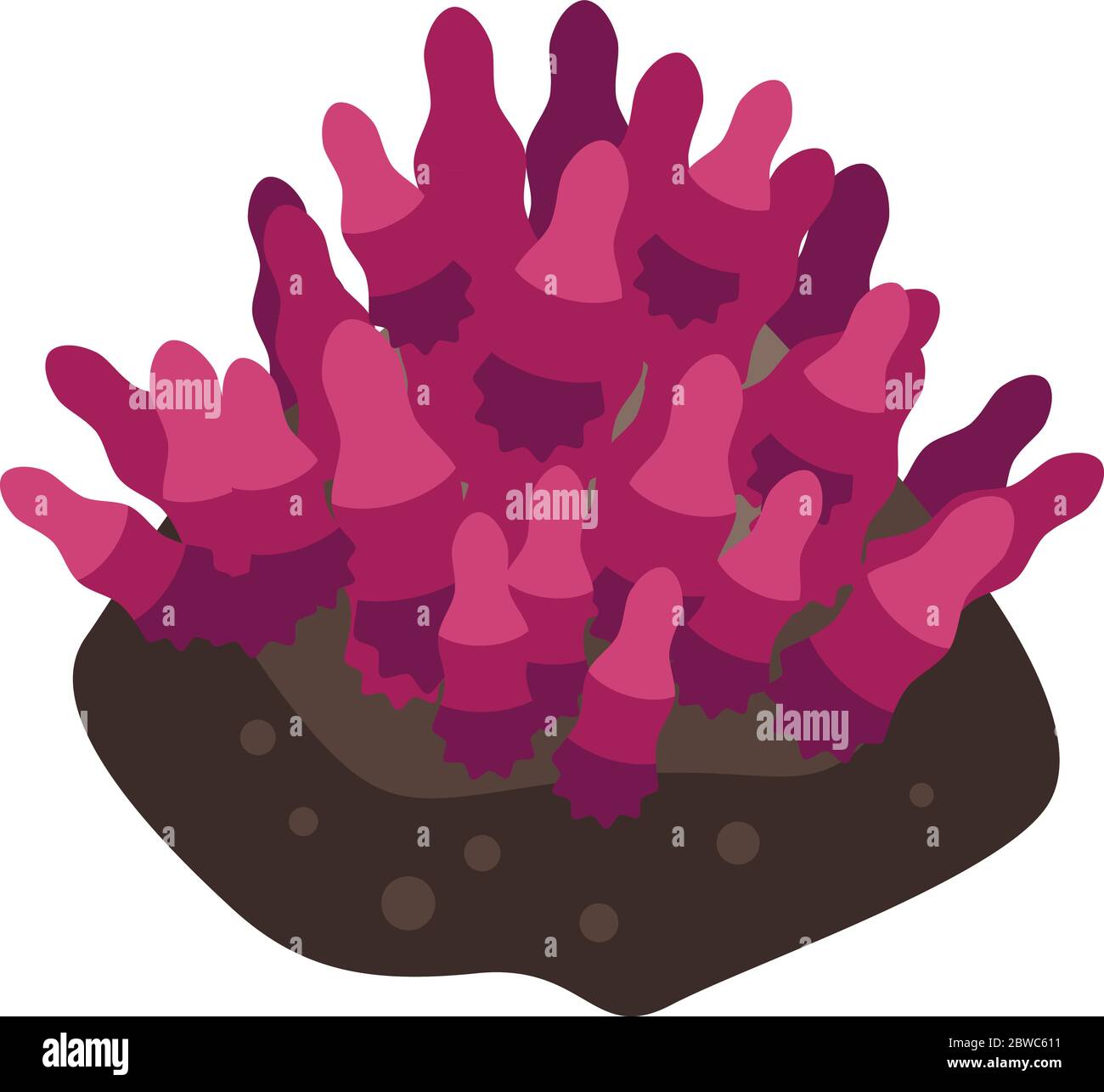 Tropical coral icon, isometric style Stock Vector Image & Art - Alamy