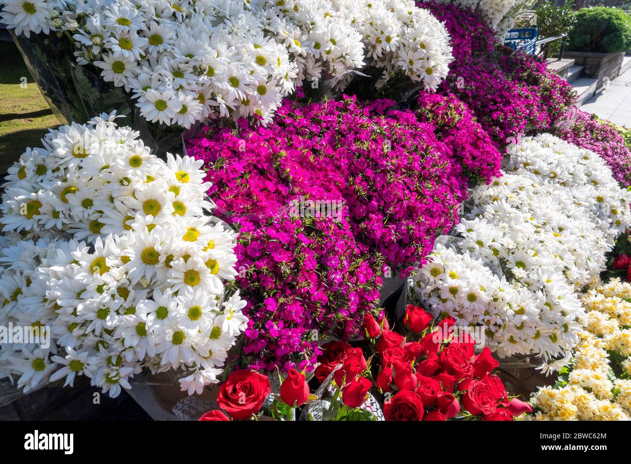 colorful flowers on the street Stock Photo - Alamy