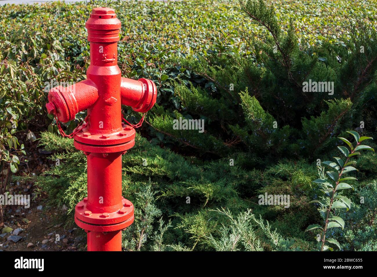 Red water hose fire hi-res stock photography and images - Alamy